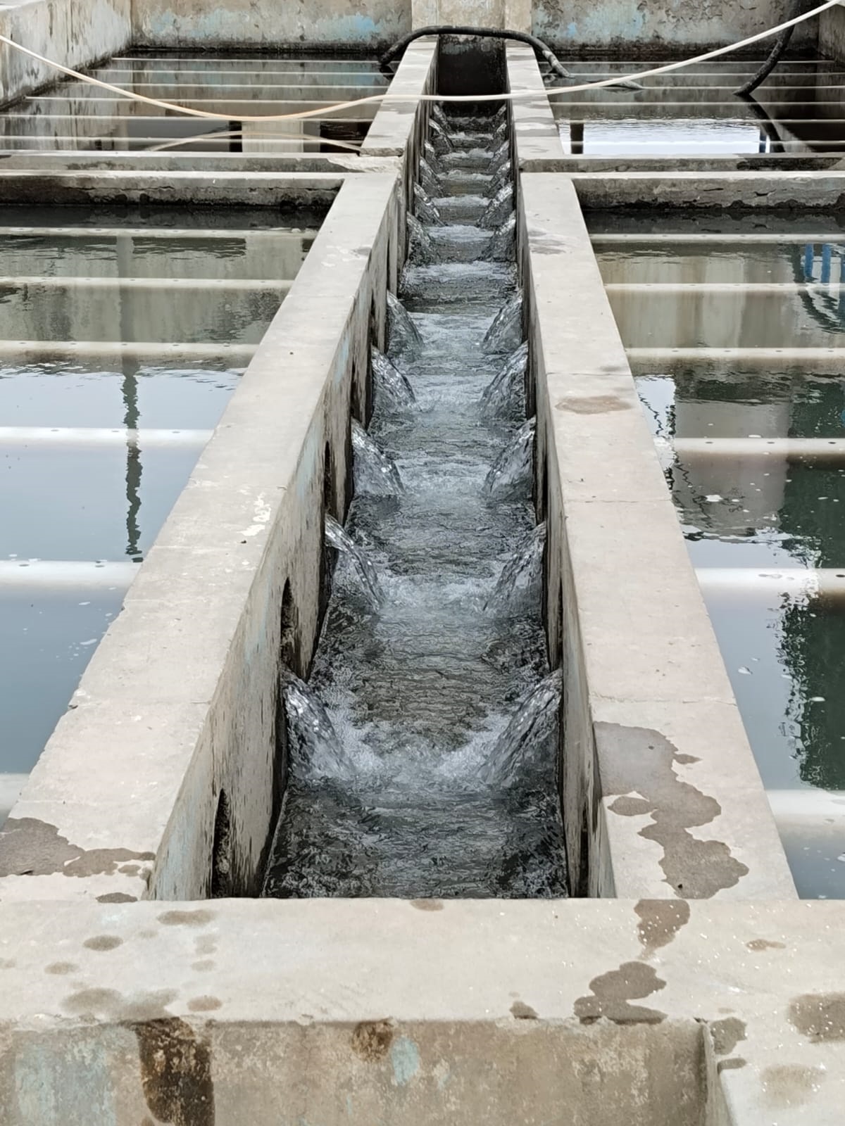 Agua Tumbes continúa distribuyendo agua potable mediante 15 camiones ...